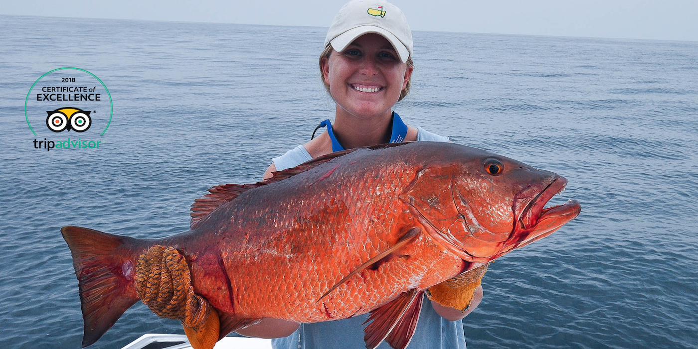 Cubera Snapper | Fish Drake Bay