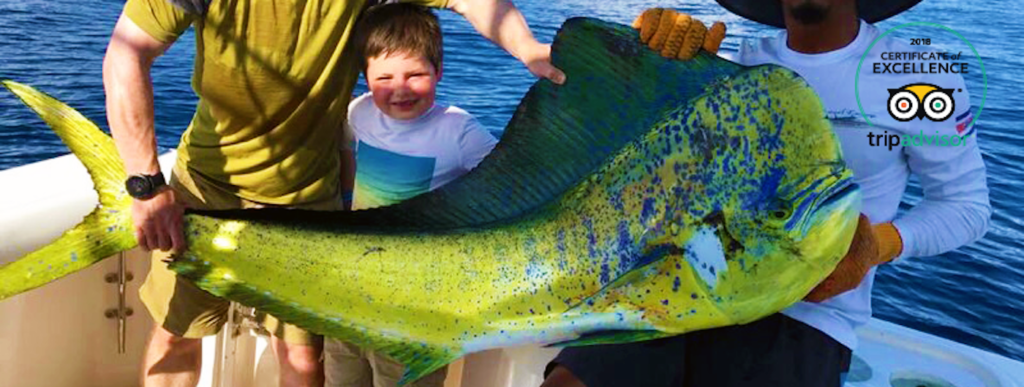 Home | Fish Drake Bay